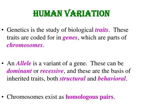 Image result for Human Variation