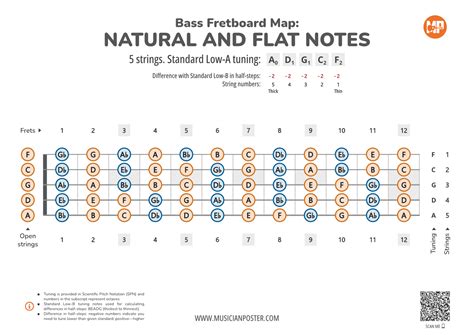 Image result for Notes On a 5 String Bass