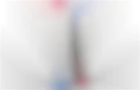 Image result for Segmentation in Marketing Examples Shampoo