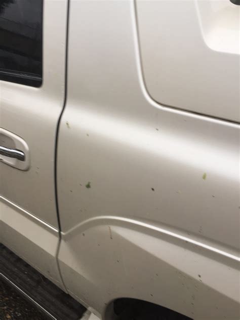 Image result for Auto-Owners Insurance