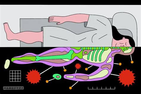 Image result for Full Body Cancer Scan