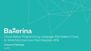 Image result for Native Programming Language