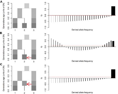 Image result for Bottleneck Effect Example