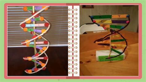 Image result for Life Science Grade 12 DNA Replication