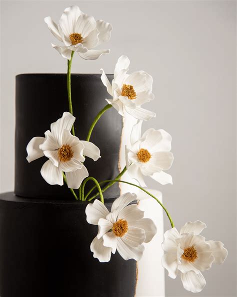 Image result for Quintessential Floating Cake