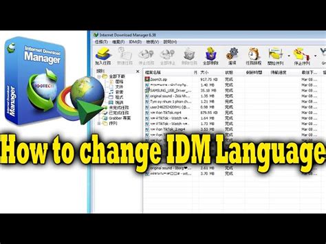 Image result for IDM Language Setting