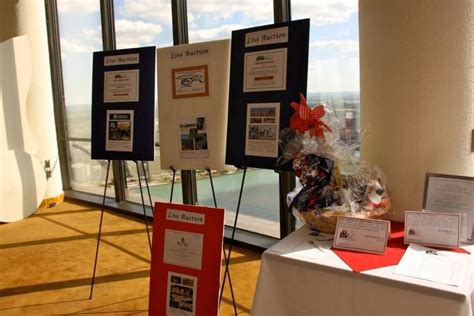 Image result for Live Auction Programs