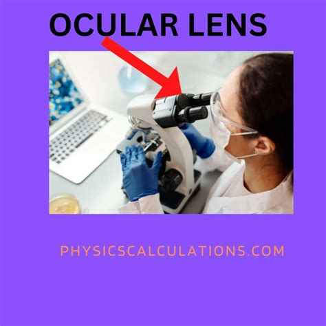 Image result for Objective Lens Magnification