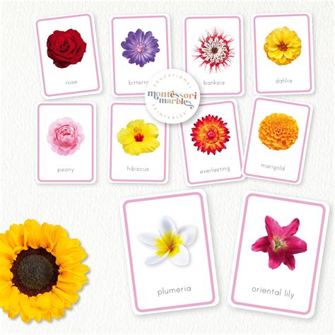 Image result for Spring Flower Multi-Step Activity