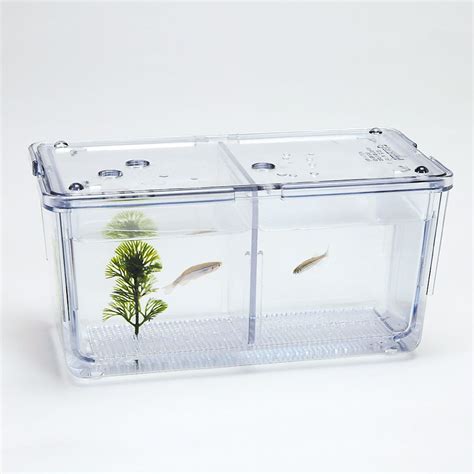 Image result for Breeding Fish Tank