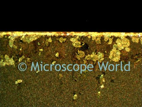 Image result for Copper Under Microscope