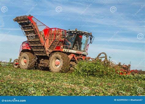 Image result for Sugar Beet Containers