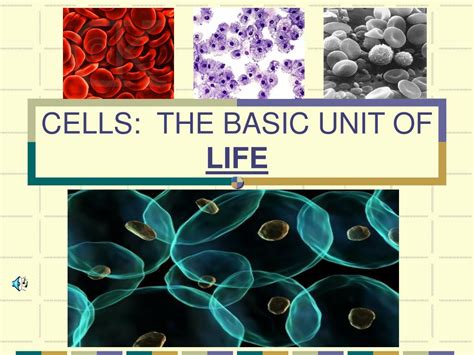 Image result for Basic Unit of Life