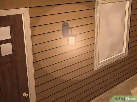 Image result for How to Catch a Lizard