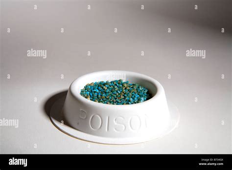 Image result for Mouse Pellets Poison