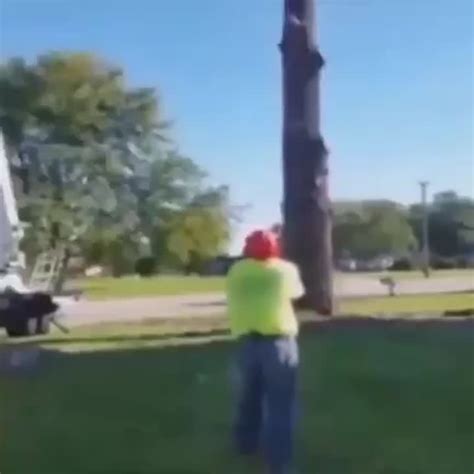 Image result for Tree Pull Fail