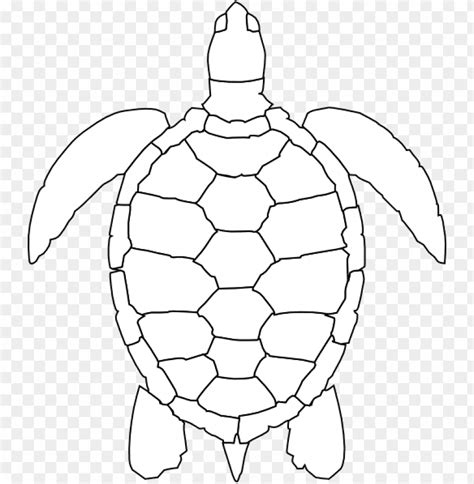 Image result for Turtle Shell Pattern