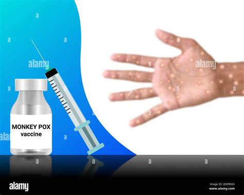 Image result for Injection Monkey