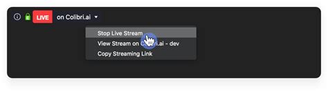 Image result for Colibri Zoom. Live Transcript