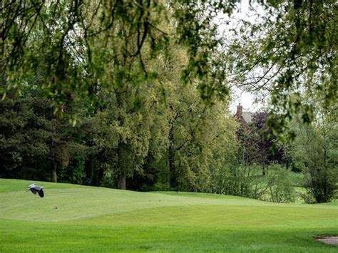 Image result for Scenic View Golf Course