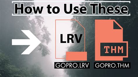 Image result for Open LRV File
