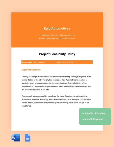 Image result for Project Management Feasibility Study Template