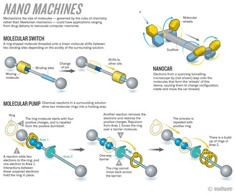 Image result for Molecular Machine