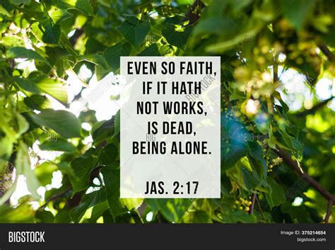 Image result for Scripture with Green Background