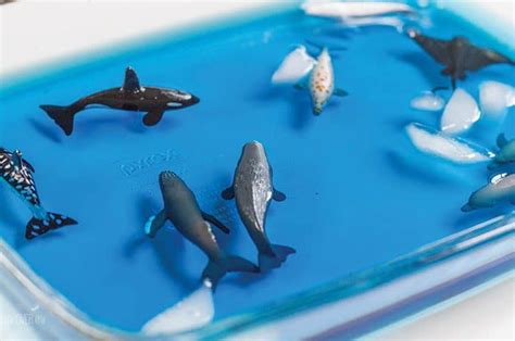 Image result for DIY Science Project Ocean Current Energy