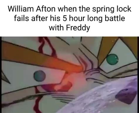 Image result for Afton Spring Lock