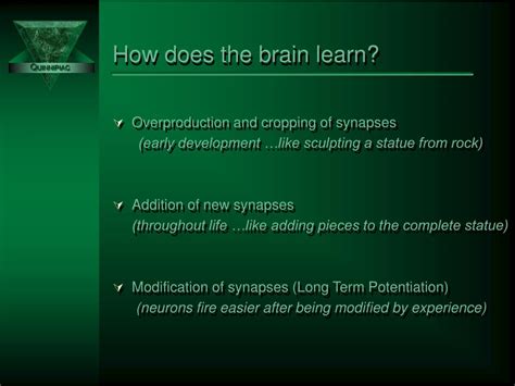 Image result for How Do Humans Learn