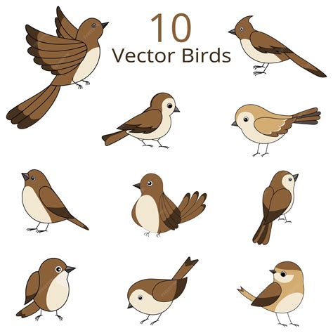 Image result for Bird Vector Question Class 11th