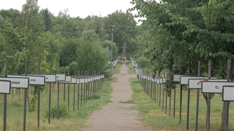 Chernobyl, Ukraine, Radiation. Free Stock Video - Pixabay