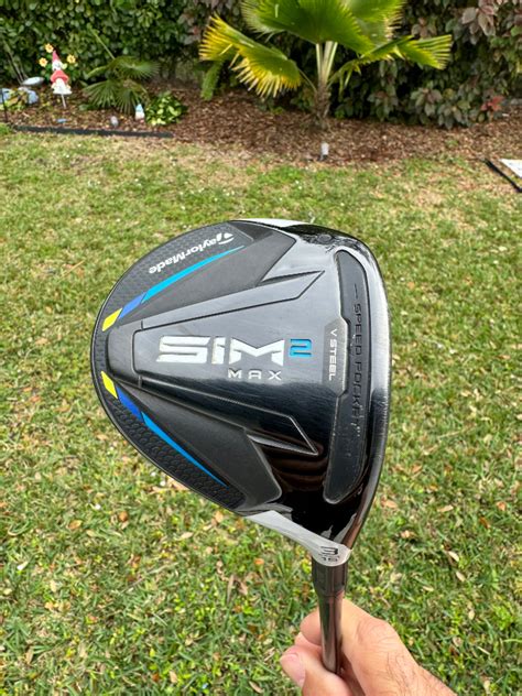 Image result for Sim 2 Max Review