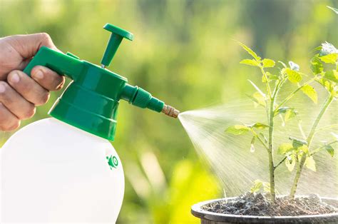 Image result for How to Apply Humic Acid