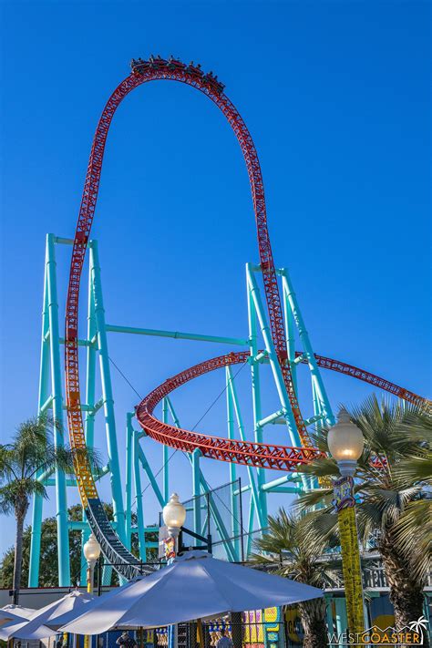 Image result for Xcelerator Roller Coaster
