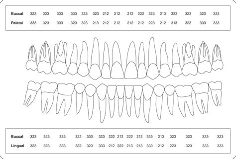 Image result for Paper Perio Chart