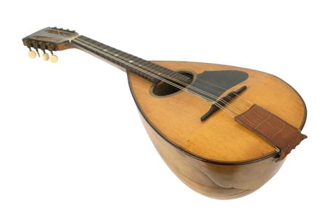 Image result for Mandolin String Types