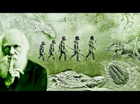 Image result for Evolution Problems Documentary