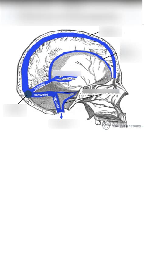 Image result for Bbbbbbbbbbbbibbbbbbbbbbbnm