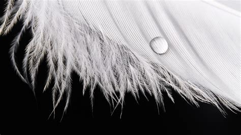 Image result for Slide Display