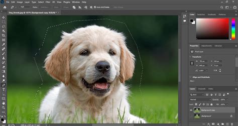 Image result for Cheapest Graphic Design Software