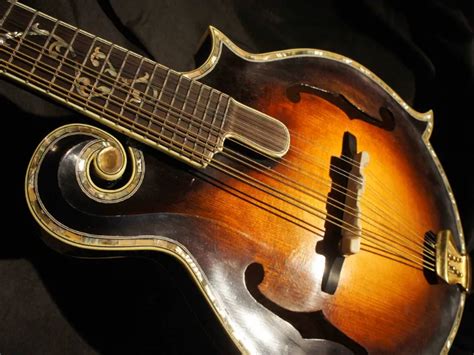 Image result for 10 String Mandolin