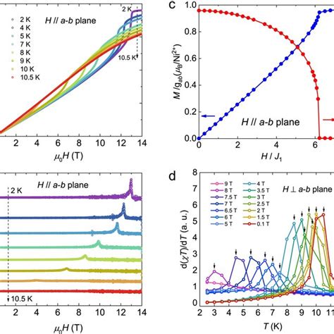 Image result for Neutron Elastic Scattering