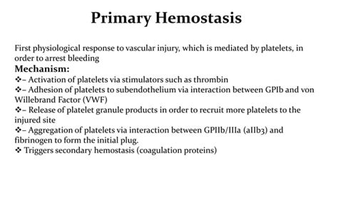 Image result for Normal Haemostasis
