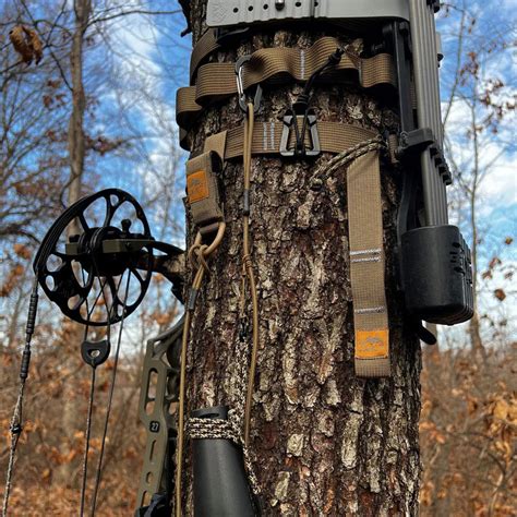 Image result for Strider Tree Gear