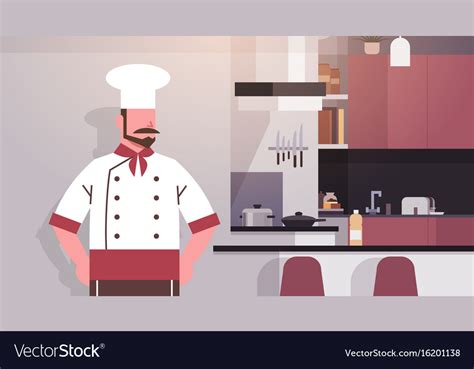 Cook in kitchen chef professional restaurant Vector Image