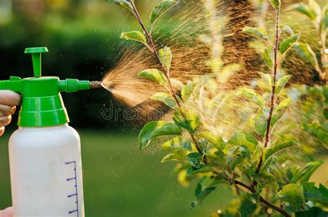 Image result for Injecting Trees with Insecticide