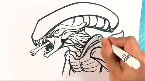 Image result for Alien Xenomorph Drawing