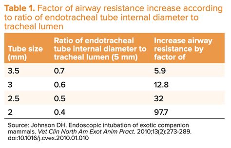 Image result for Rabbit Intubation